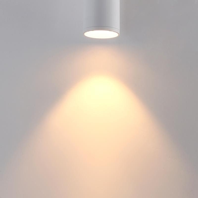 Spot LED de surface orientable - 2700K - Puce Cree - 15W